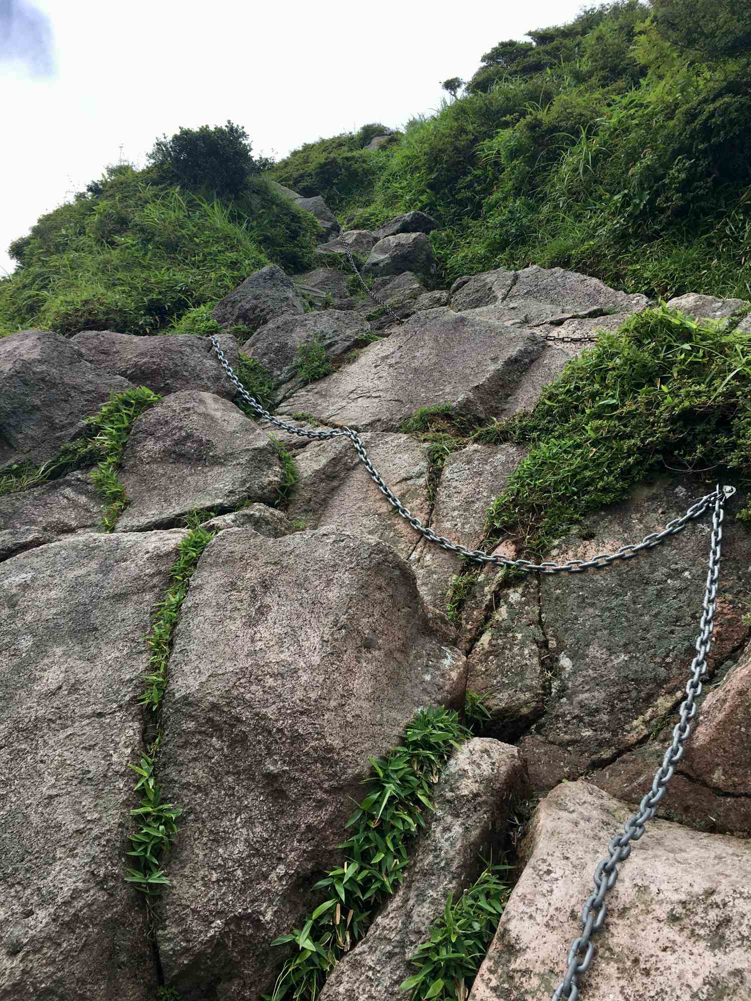 2 Weeks in Kyushu - A suggested itinerary - A bear and a pig