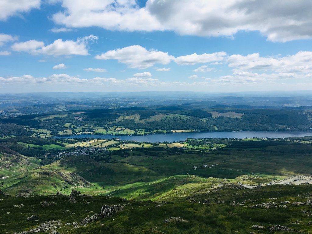 4 Days in the Lake District - A bear and a pig